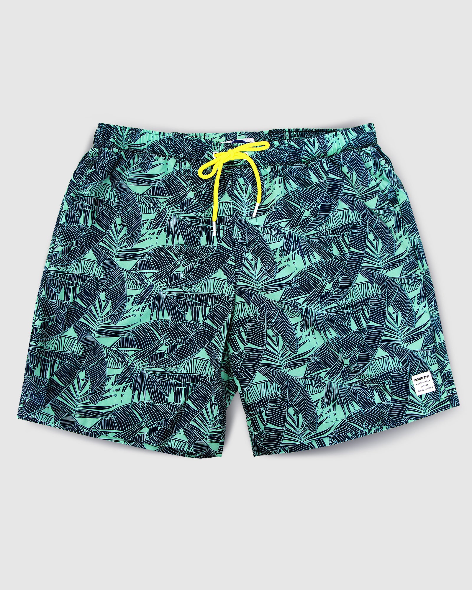 Mens Swim Shorts - Hamilton II